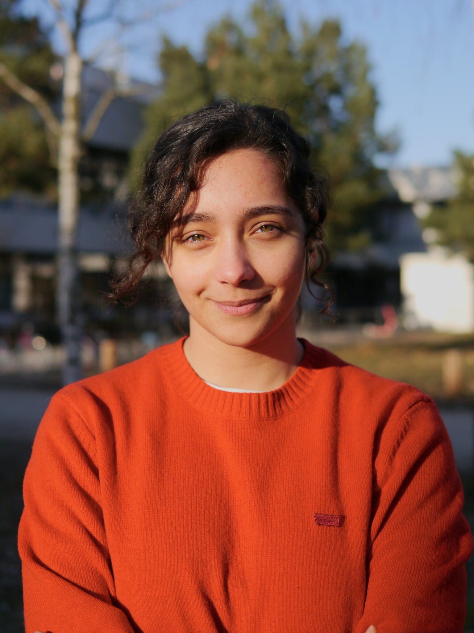 Eftekhar, Fatemeh – Lehrstuhl für Hochfrequenztechnik